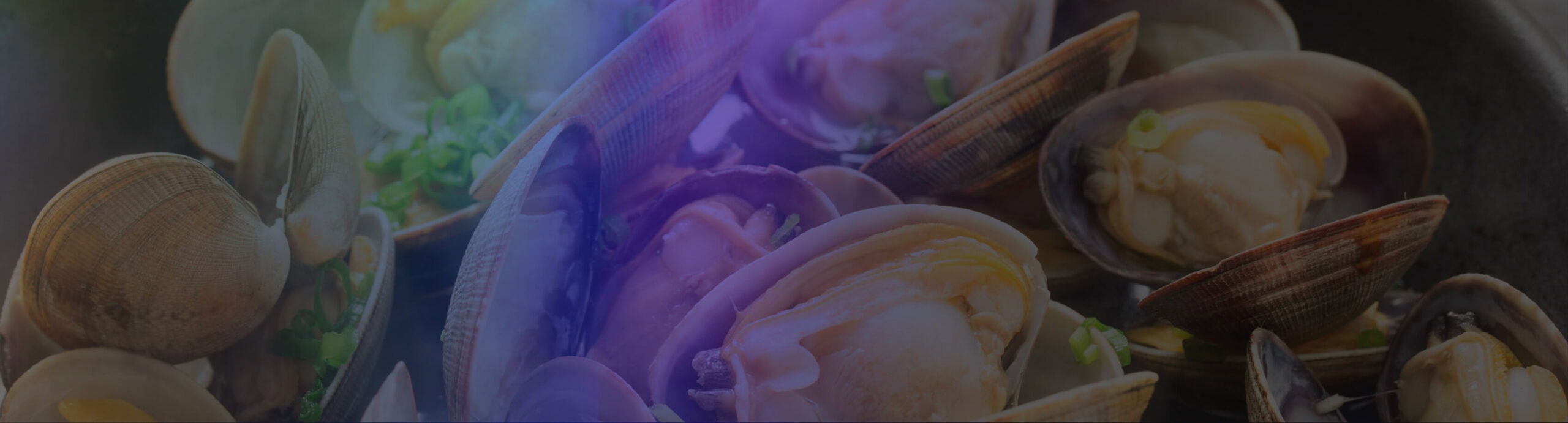 2025 Annual Clam Bake | Sydor Optics